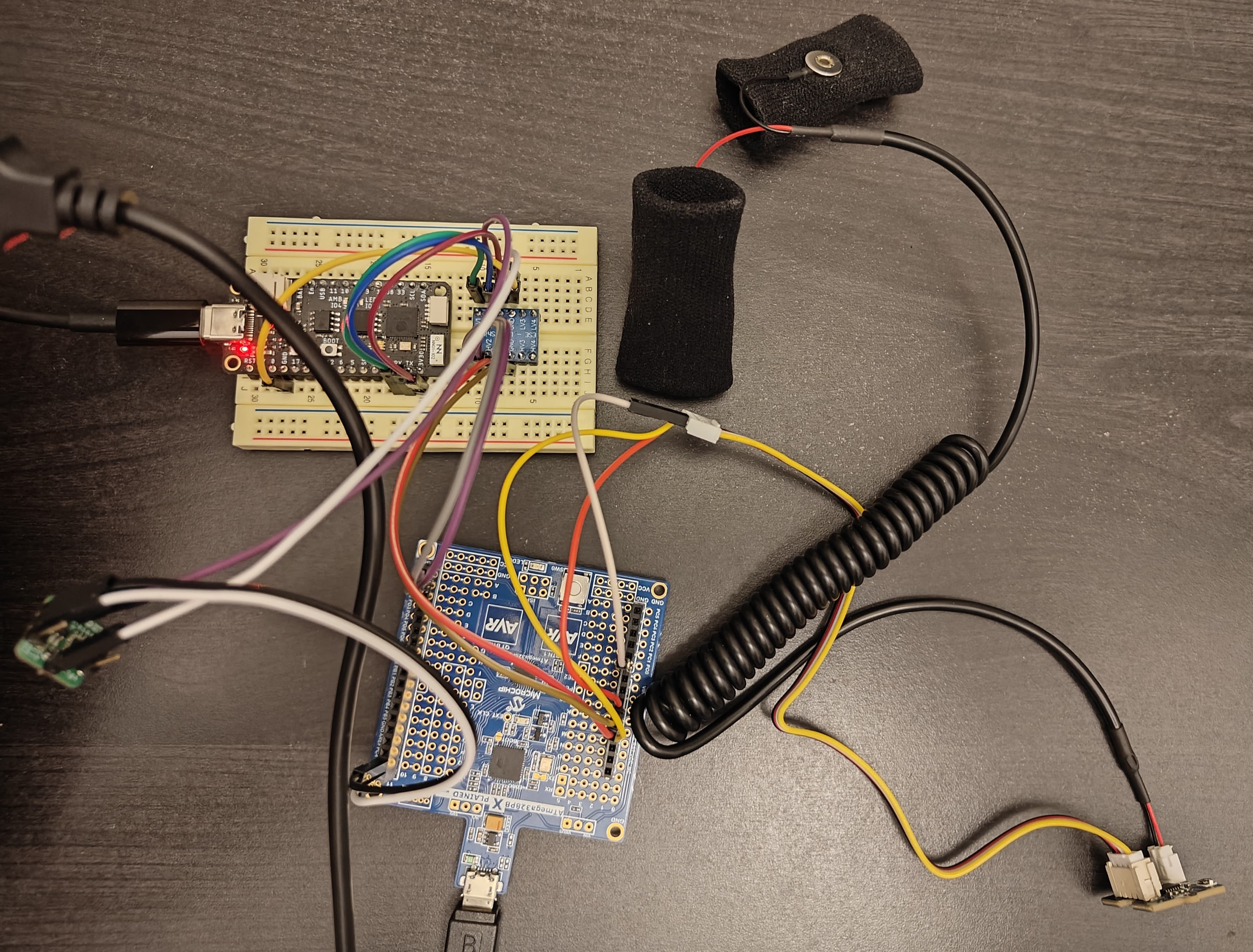 final-project-r-e-f-r-e-s-h | ese5190f24-final-project-final-project ...